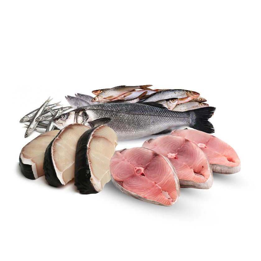 Buy Fresh Fish & Seafood Online | Alli Bhavan