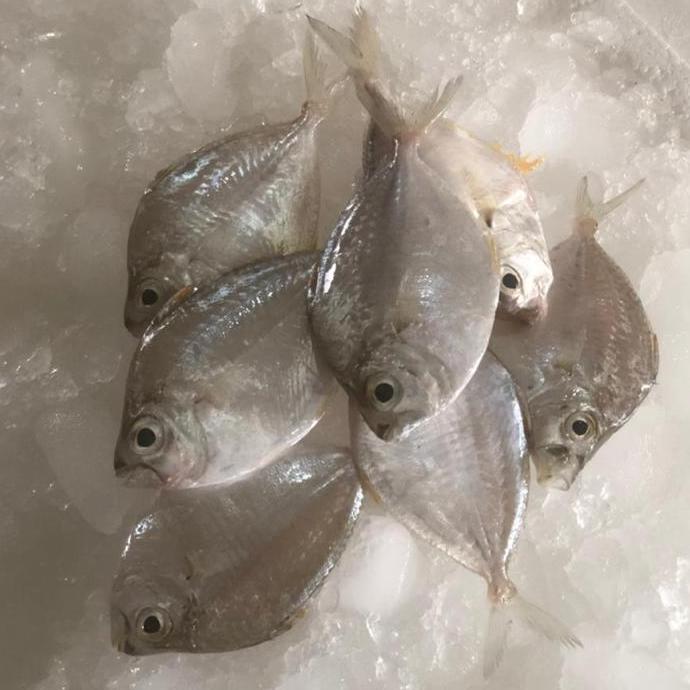 Buy Karal (Pony Fish) Online | Alli Bhavan