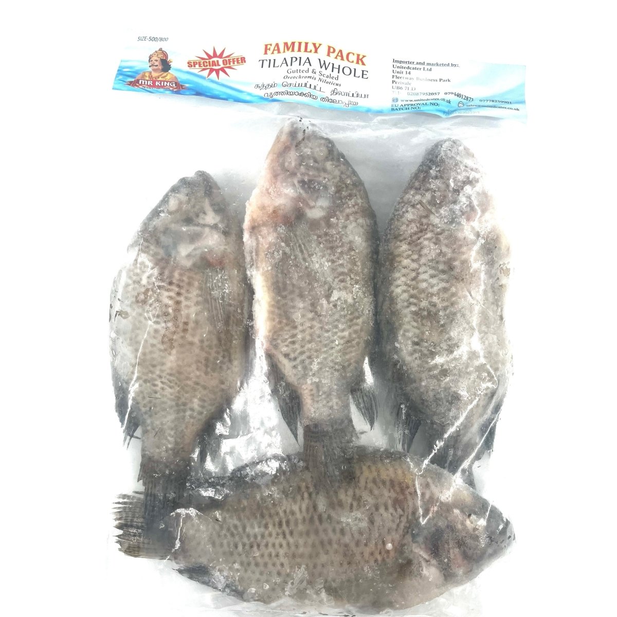Buy MR King Tilapia Whole Fish Online | Alli Bhavan