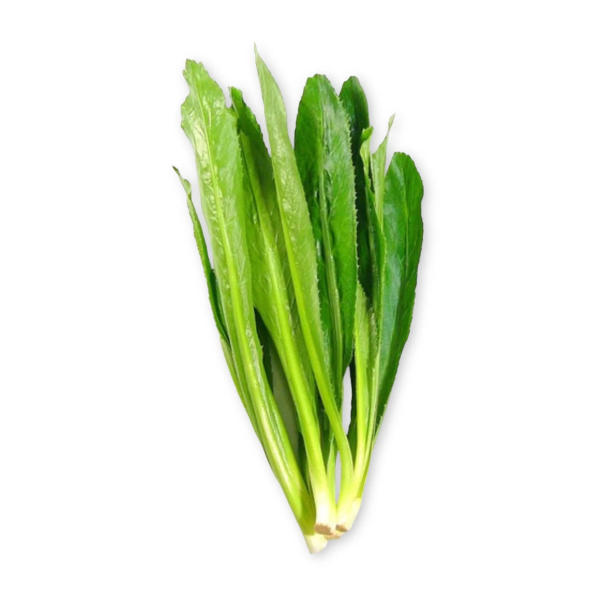 Buy Fresh Thai Parsley Online | Alli Bhavan