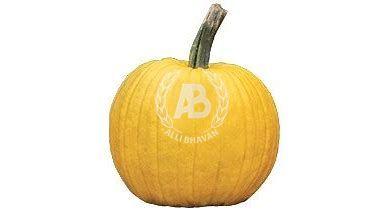 Buy Yellow Pumpkin Online | Alli Bhavan